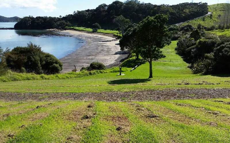 Puriri Bay Campsite | Freedom/Basic Camp | New Zealand